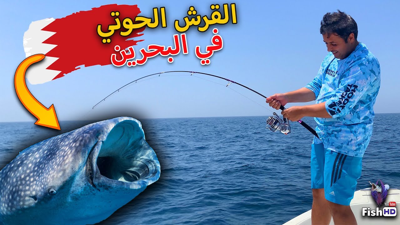 رحلة صيد السمك بالبحرين وحصلنة القرش الحوتي 😍 Fishing in Bahrain, We ...