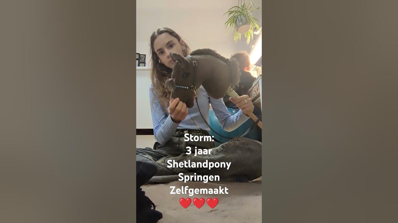 Mijn eerste zelf gemaakte hobbyhorse ️ Storm ️ - YouTube