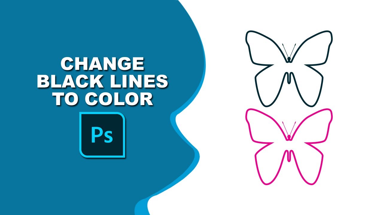 how to change black lines to color in photoshop - YouTube