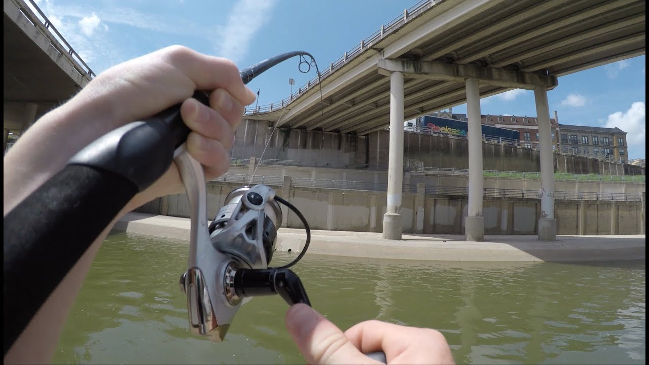 Big Fish Caught While Fishing In The Sewer - YouTube