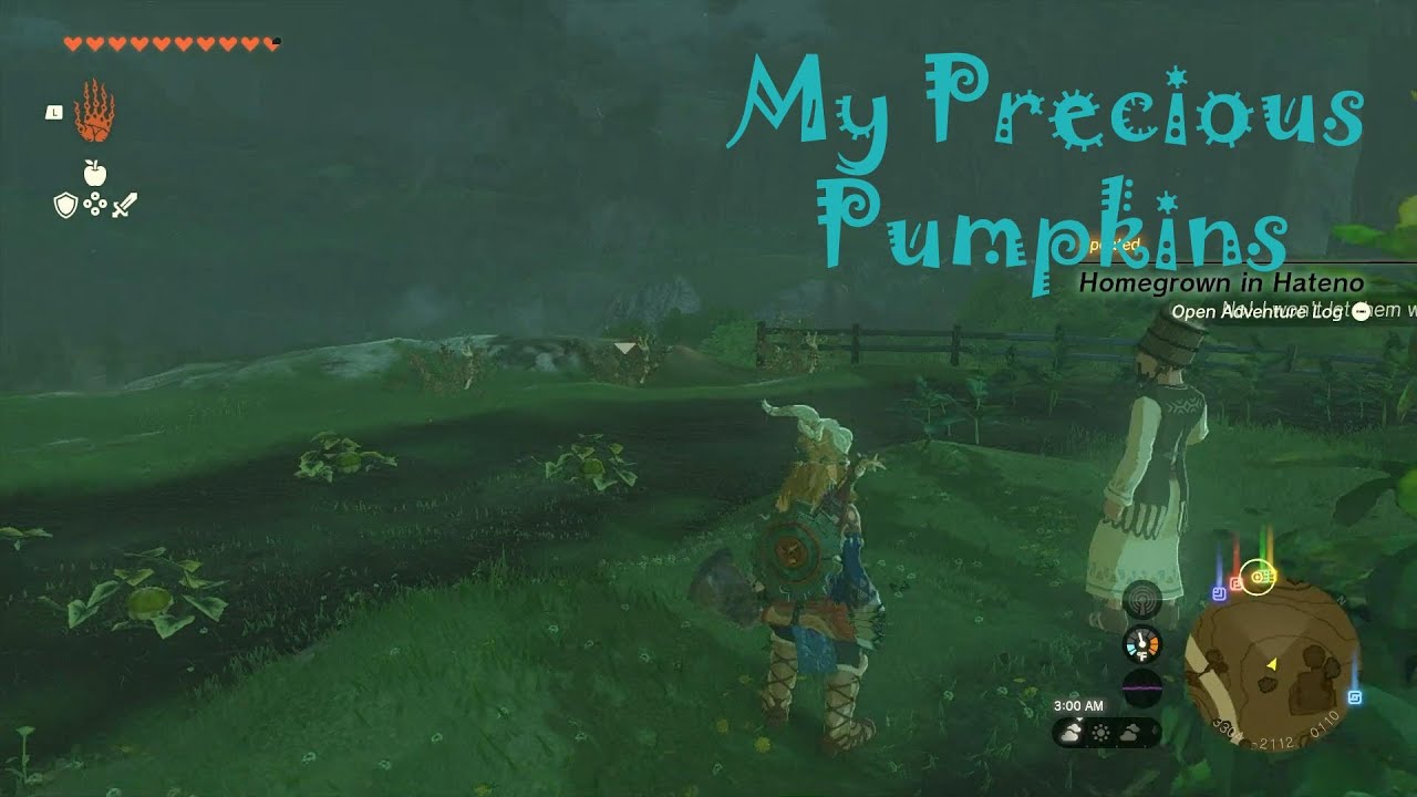 The Legend of Zelda Tears of the Kingdom - Save The Pumpkins - YouTube