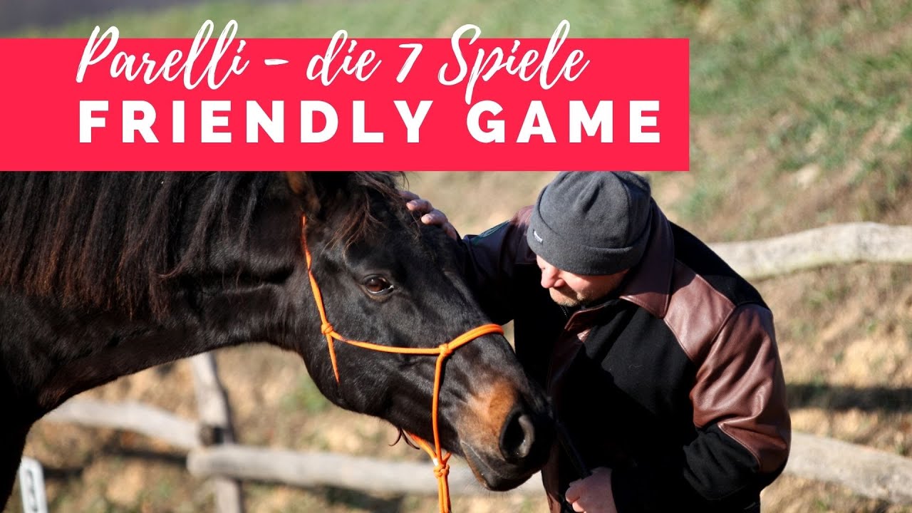 Die 7 Spiele nach Parelli - Friendly Game | ausführliche Anleitung Teil ...