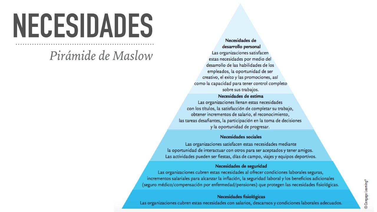 Conducta y motivación - YouTube