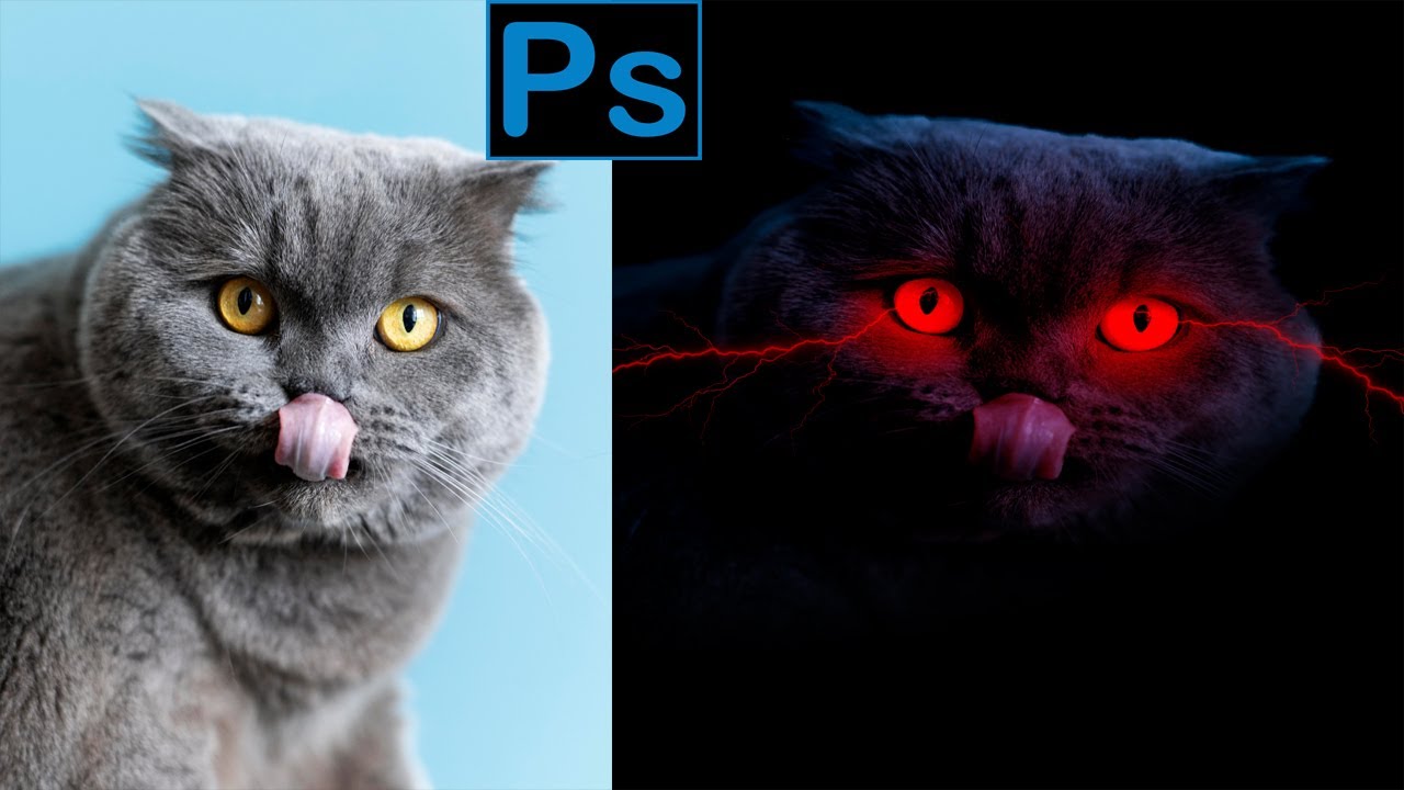Glowing Eyes Cat / Glowing Eyes Photo Effect / Photoshop Tutorial - YouTube