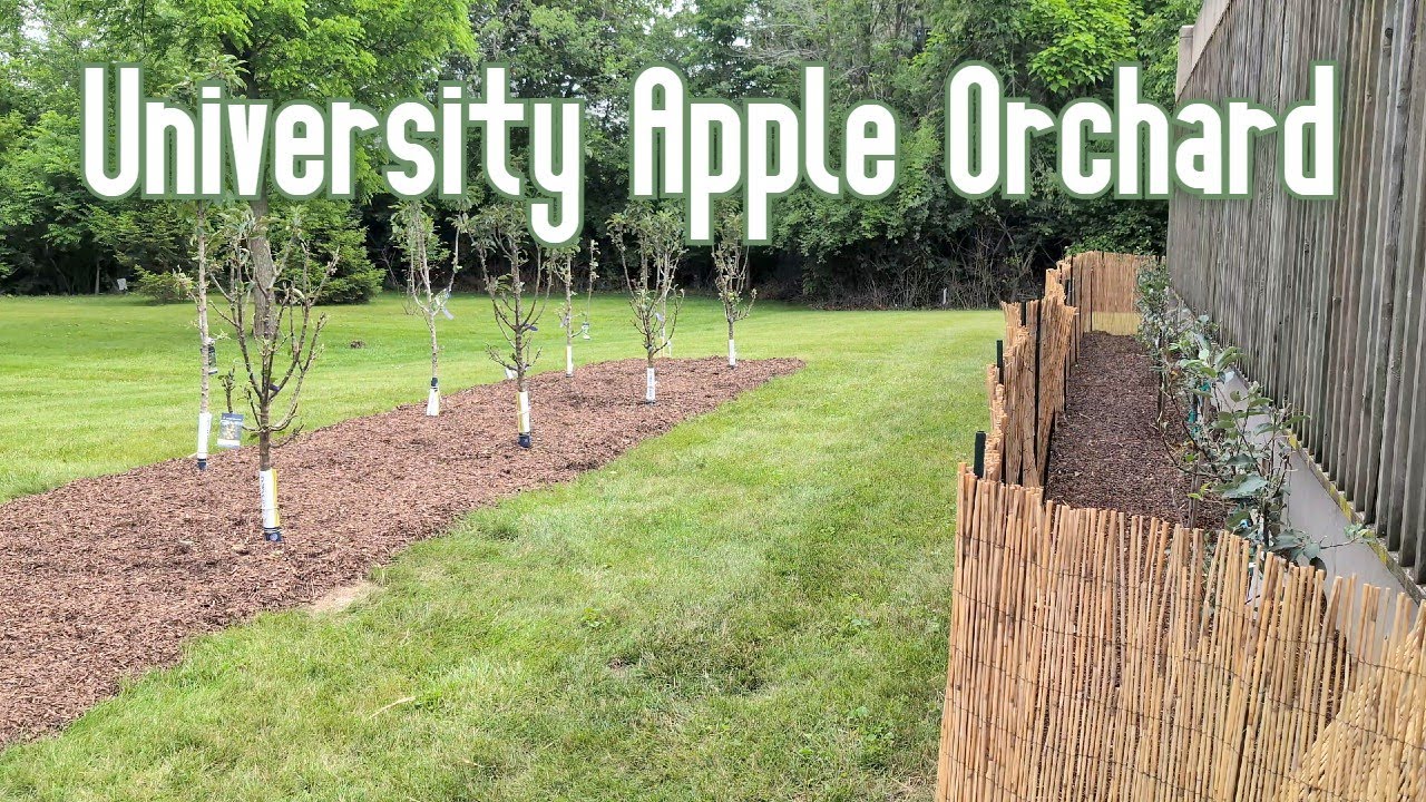 University Native Garden & Permaculture Fruit Orchard Update - YouTube