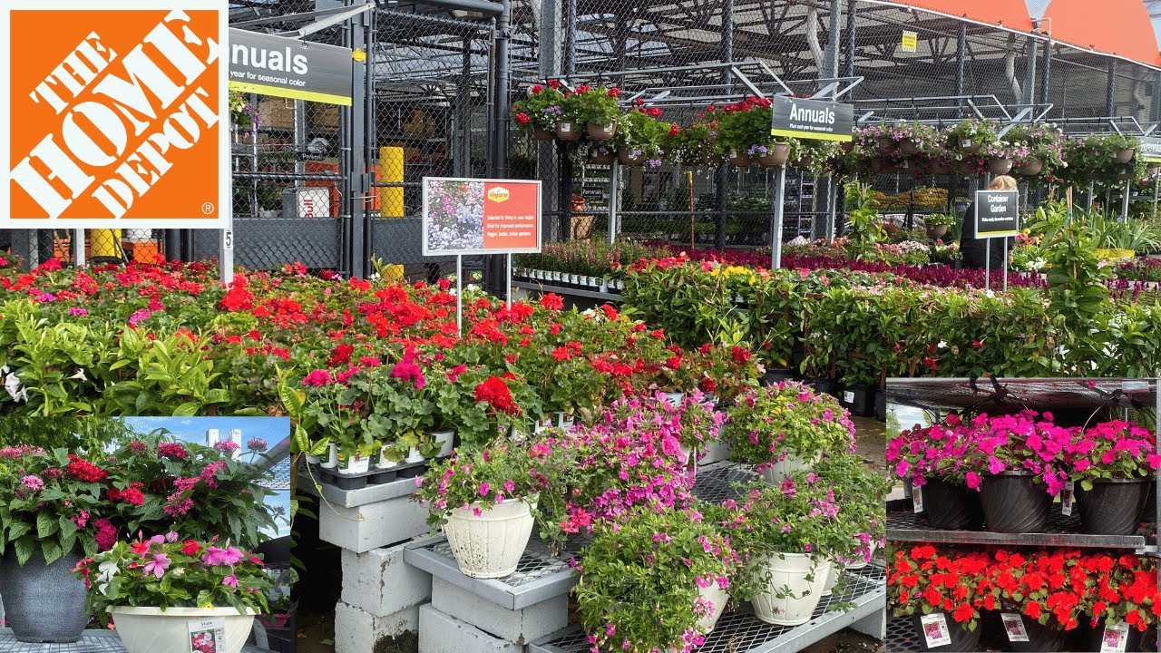 HOME DEPOT INVENTORY MAY 2023 LOADS OF FLOWERING TREES PERENNIALS ...