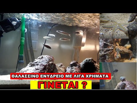 ΠΩΣ ΜΠΟΡΕΙΣ ΚΑΙ ΕΣΥ ΝΑ ΦΤΙΑΞΕΙΣ ΜΕ ΛΙΓΑ ΧΡΗΜΑΤΑ ΕΝΑ ΘΑΛΑΣΣΙΝΟ ΕΝΥΔΡΕΙΟ ...