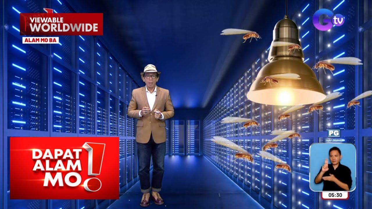 Kauna-unahang computer bug, literal na isang uri ng insekto?! | Dapat ...