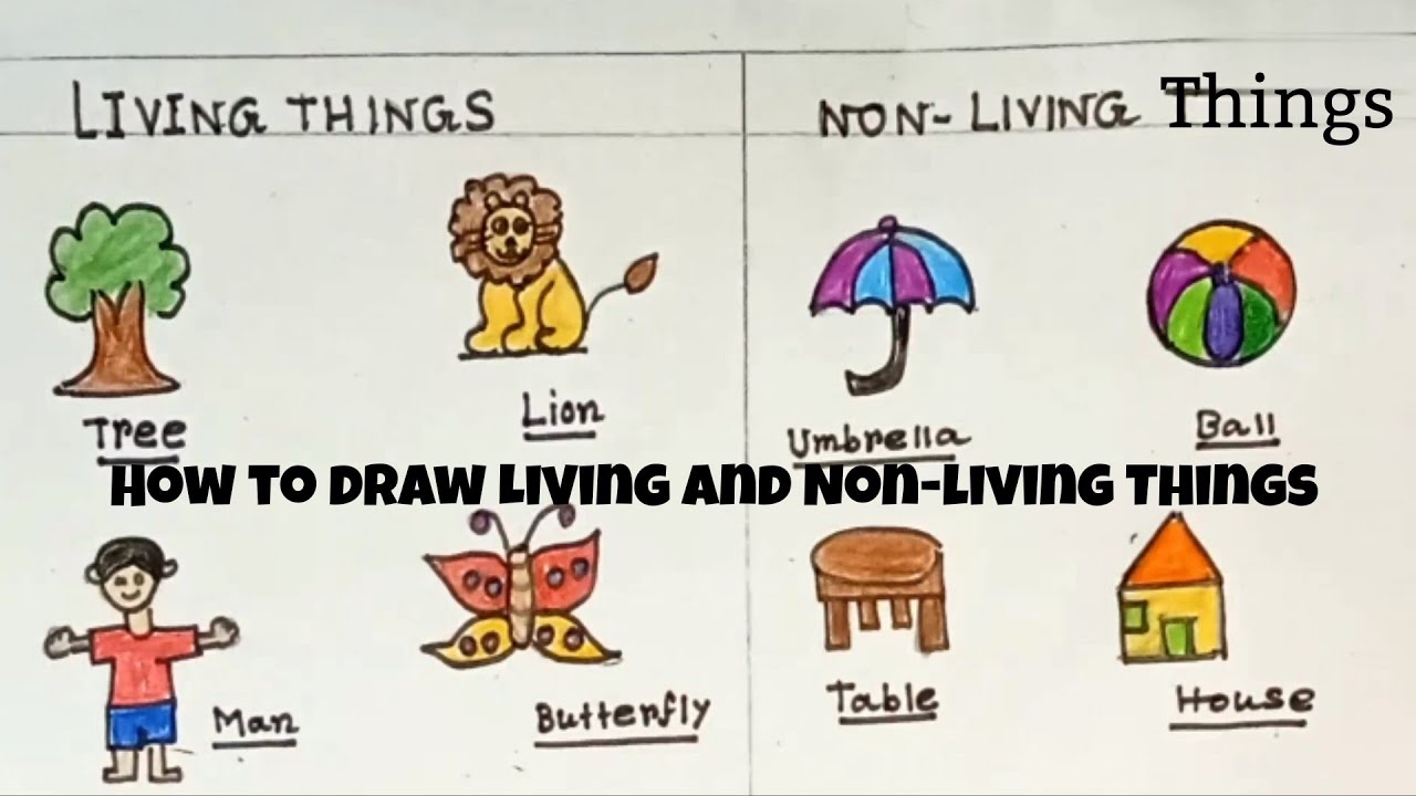 How to draw Living & Non-living Things | Drawing 💥 | Step by step ...
