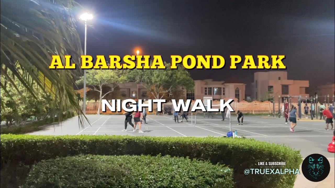 Al Barsha Pond Park | حديقة بحيرة البرشاء دبي | Night Walk - YouTube