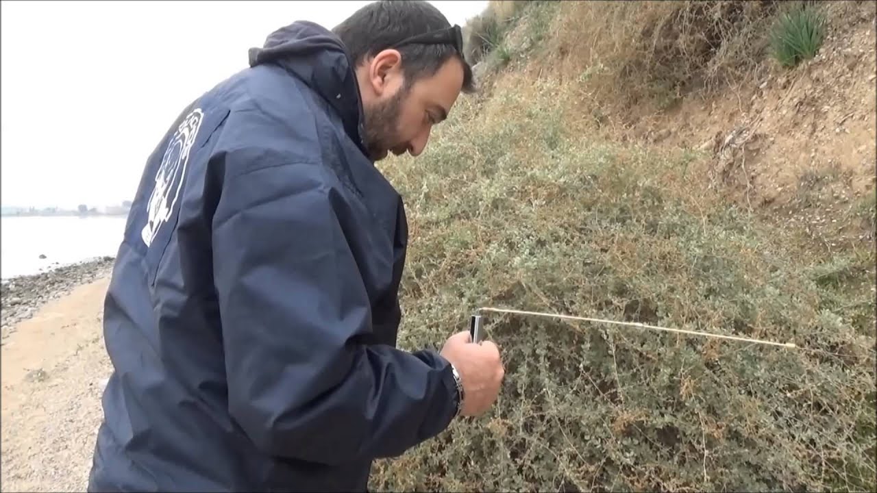 ΕΡΕΥΝΑ ΣΕ ΠΑΡΙΑΛΙΑ ΜΕ ΒΕΡΓΕΣ Γ ΚΑΙ ΕΚΚΡΕΜΕΣ - YouTube