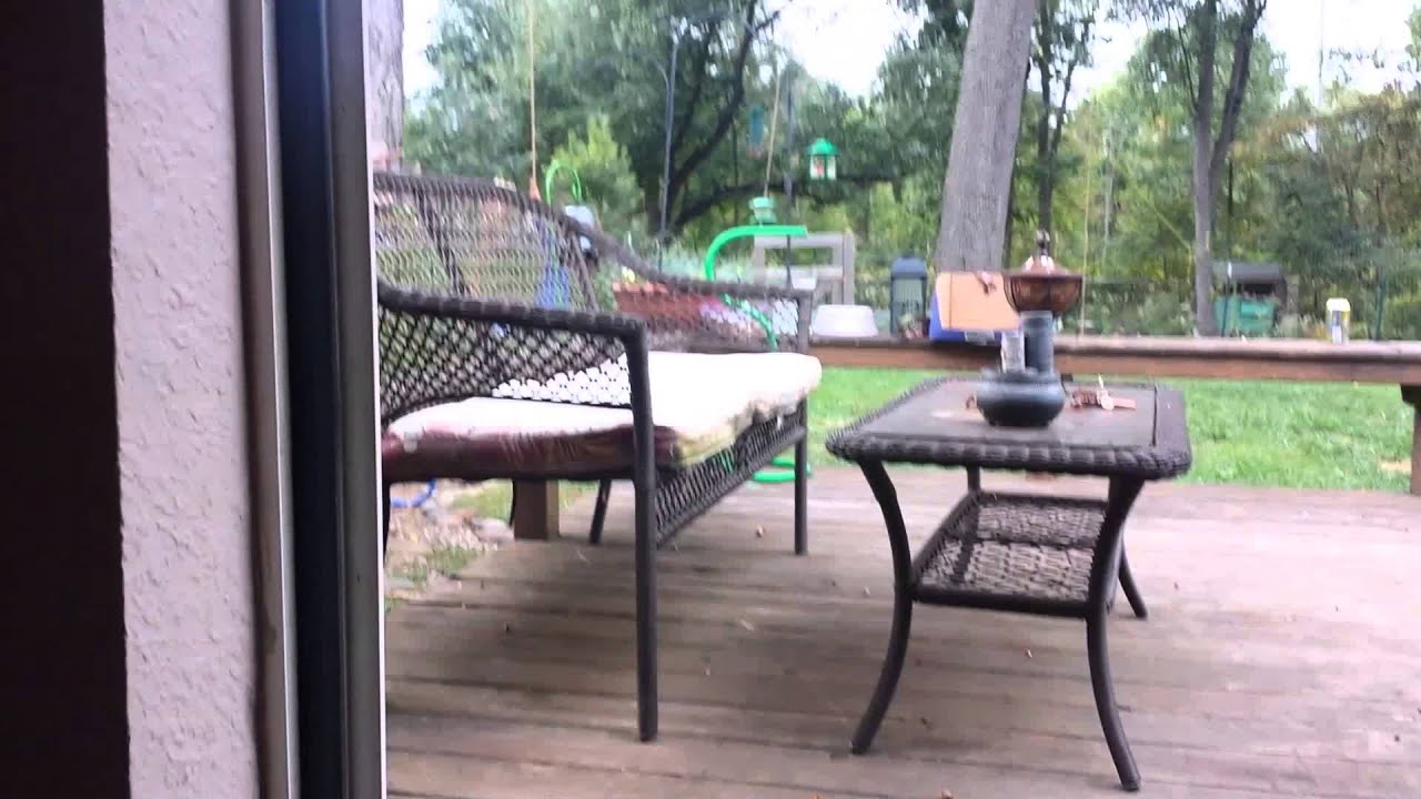 Blueberry calling us from house - YouTube