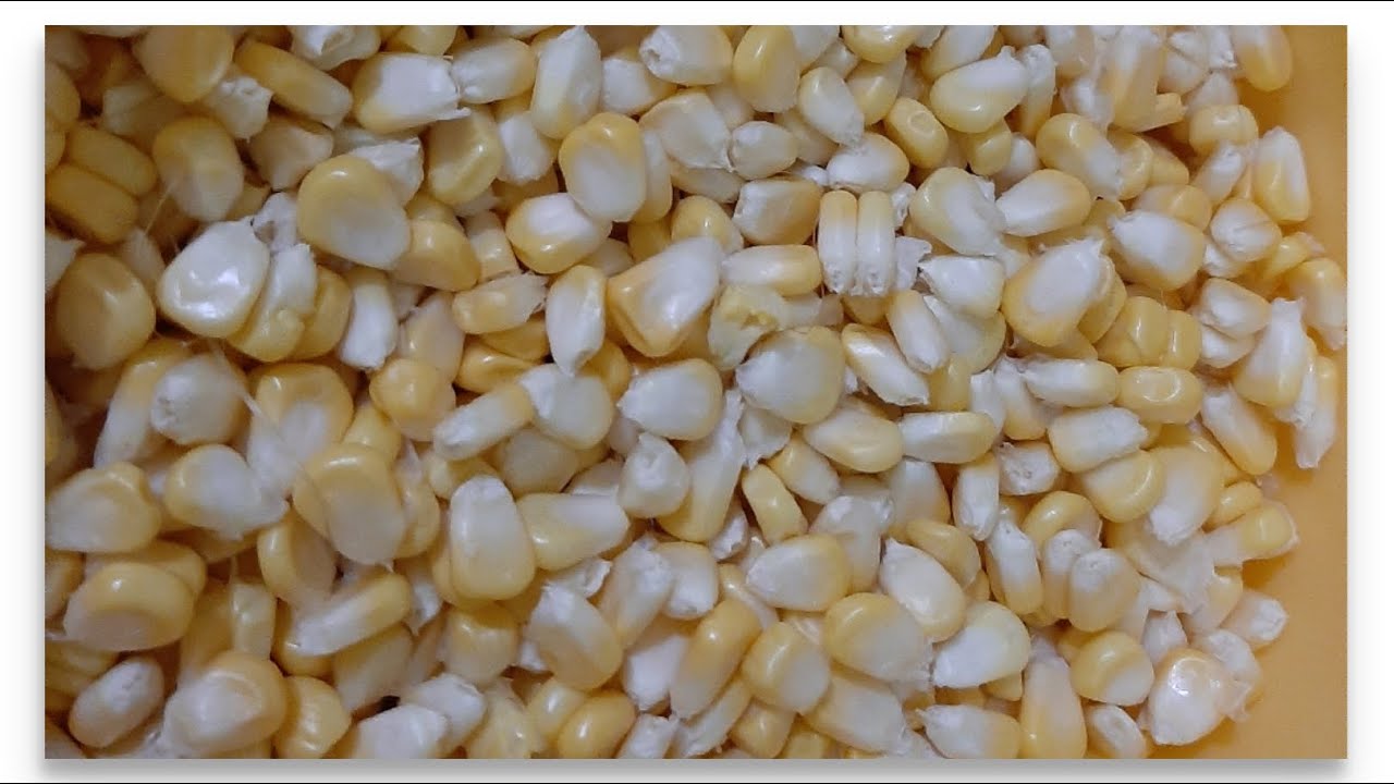 How to remove Corn easily|| Seperate Corn in 5 mins|| Corn seperating ...