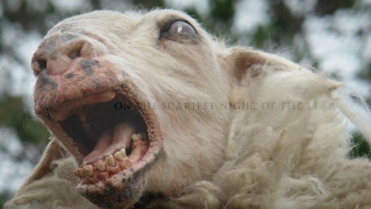 Night Of The Vampire Sheep - YouTube