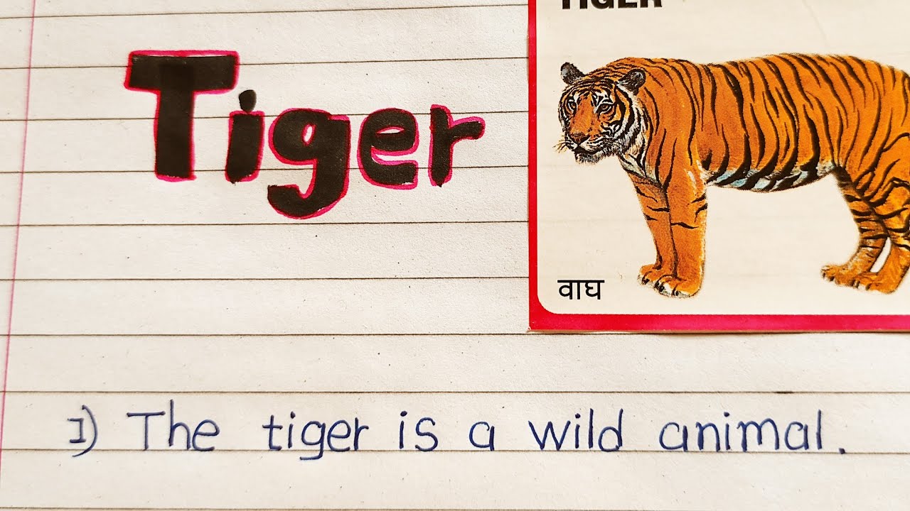 10 sentence about tiger in english || essay on tiger || english essay ...