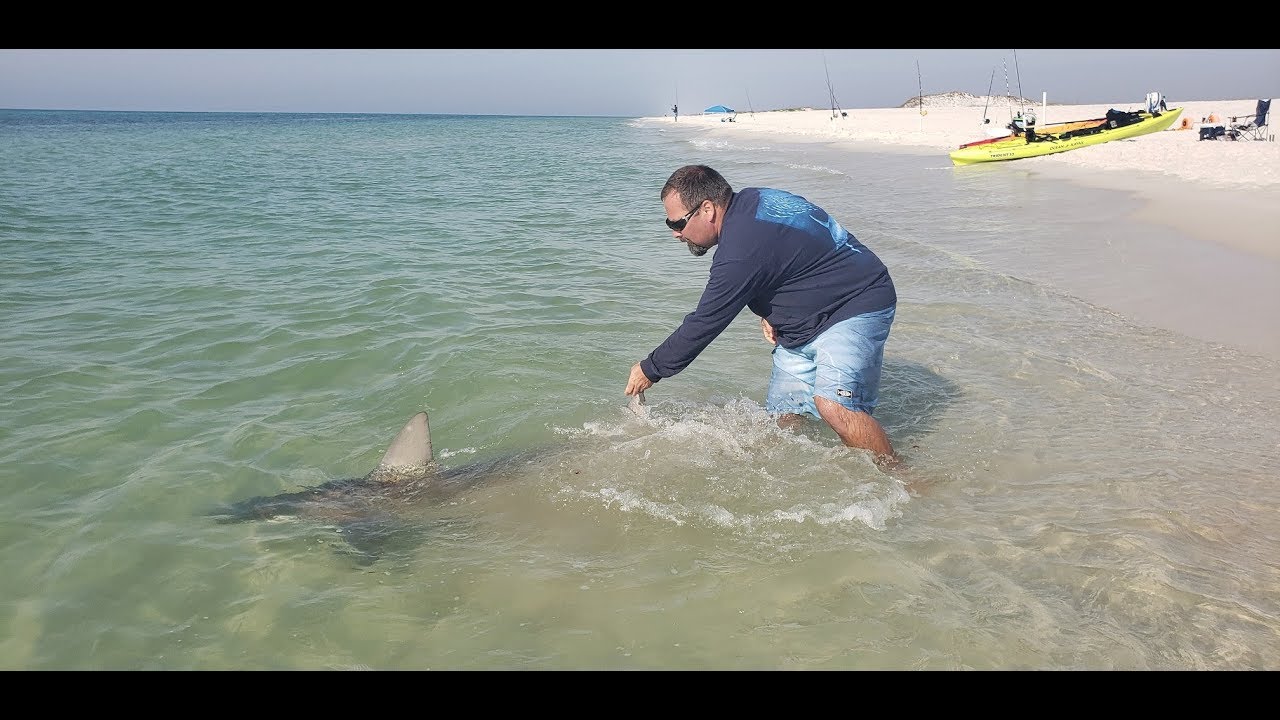 Navarre Beach, FL Tag a SandBar // No Bones Fishing - YouTube