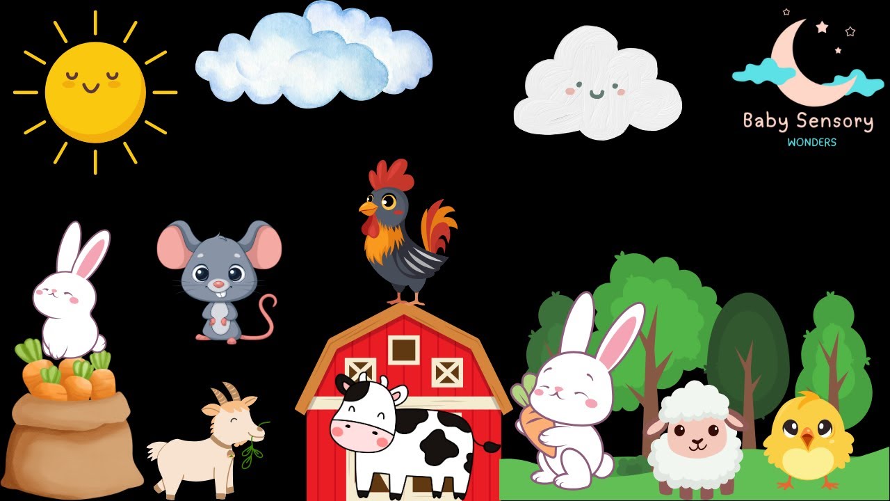 Baby’s Farm Animal Discovery 🐥 High Contrast & Sensory Stimulation ...
