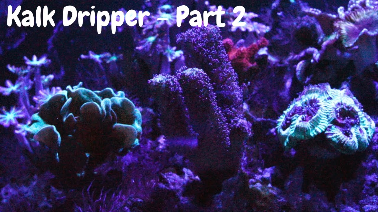 Kalk Dripper Review - P2 - YouTube