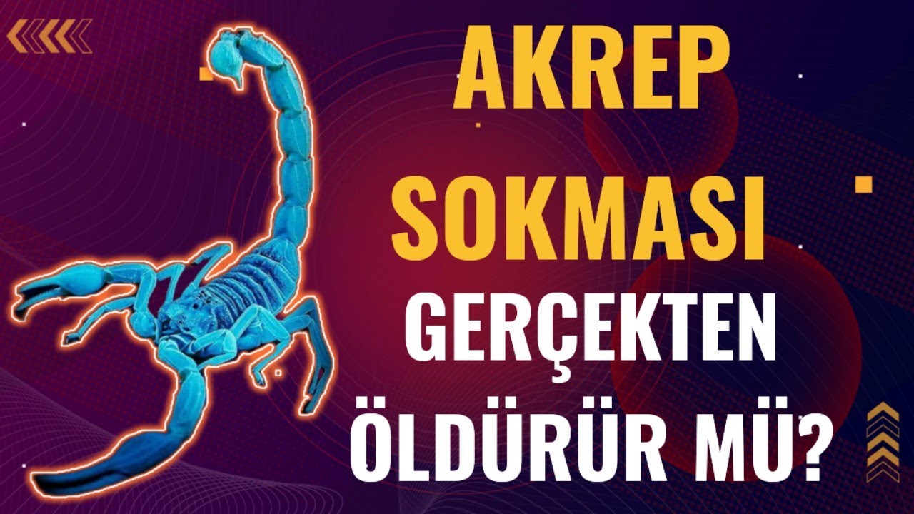 Akrep Sokarsa Ölür müyüz? - YouTube
