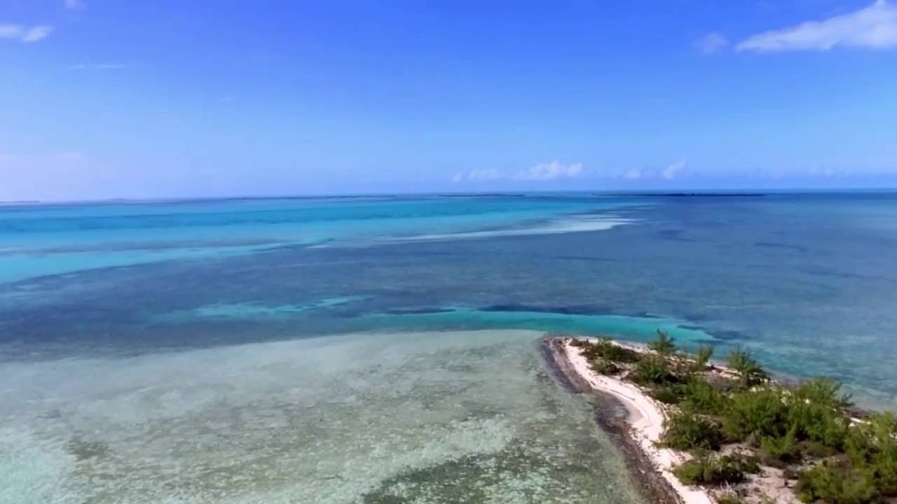 Wild Berry Cay Private Island @ Berry Islands Real Estate - YouTube
