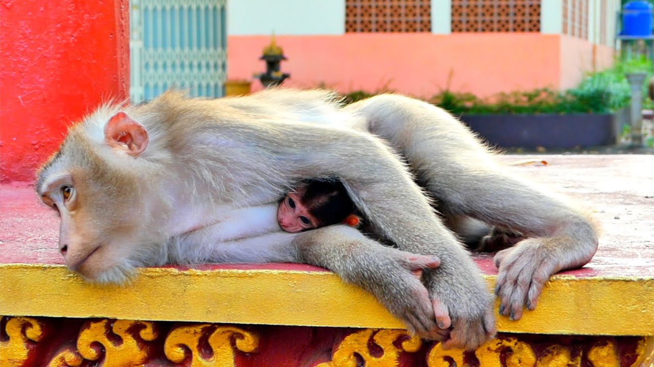 OMG...P-i-t-y mom ROSITA look so tired that sleep and give milk to baby ...