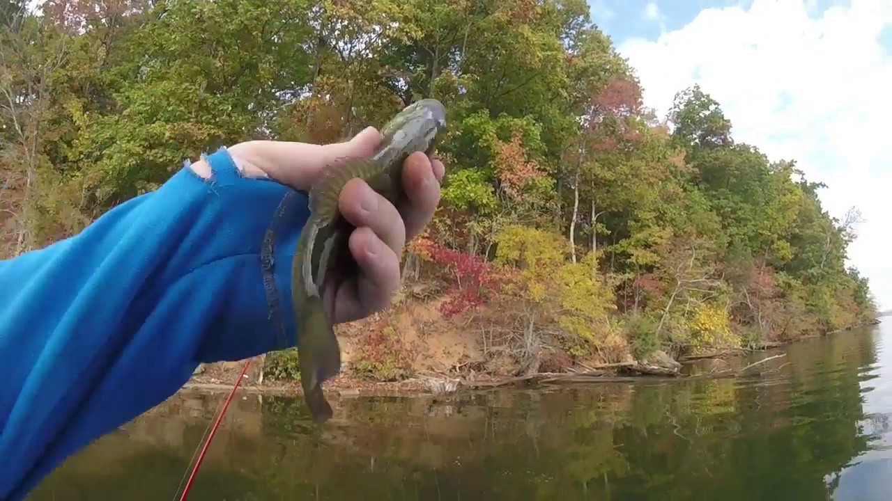 Best Bass Lure Ever Youtube