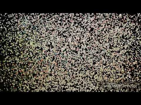 Duvar Yazıları [PÖH - JÖH]