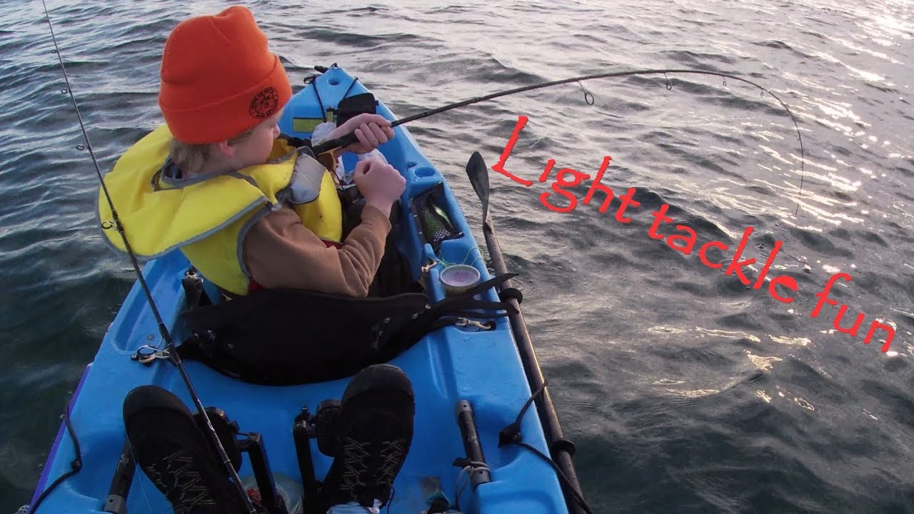 Skippy sessions || Perth Kayak fishing - YouTube