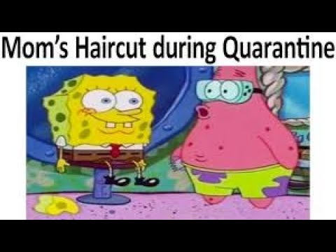 Daily Liquid Memes V15 - YouTube