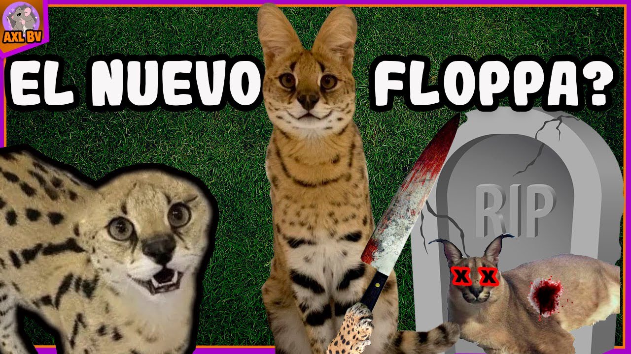 Sogga "El Gato Tuneado"🐆| MEMEDOCUMENTAL - YouTube