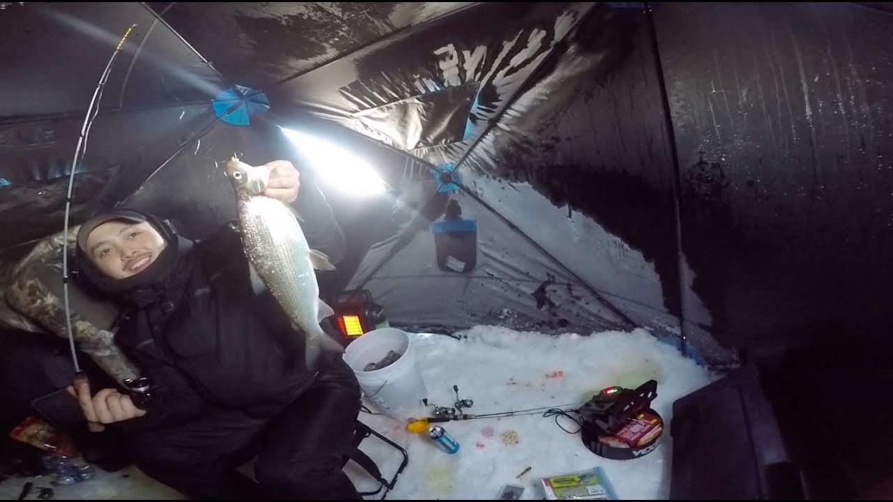 Ice fishing for White fish with the bros! - YouTube