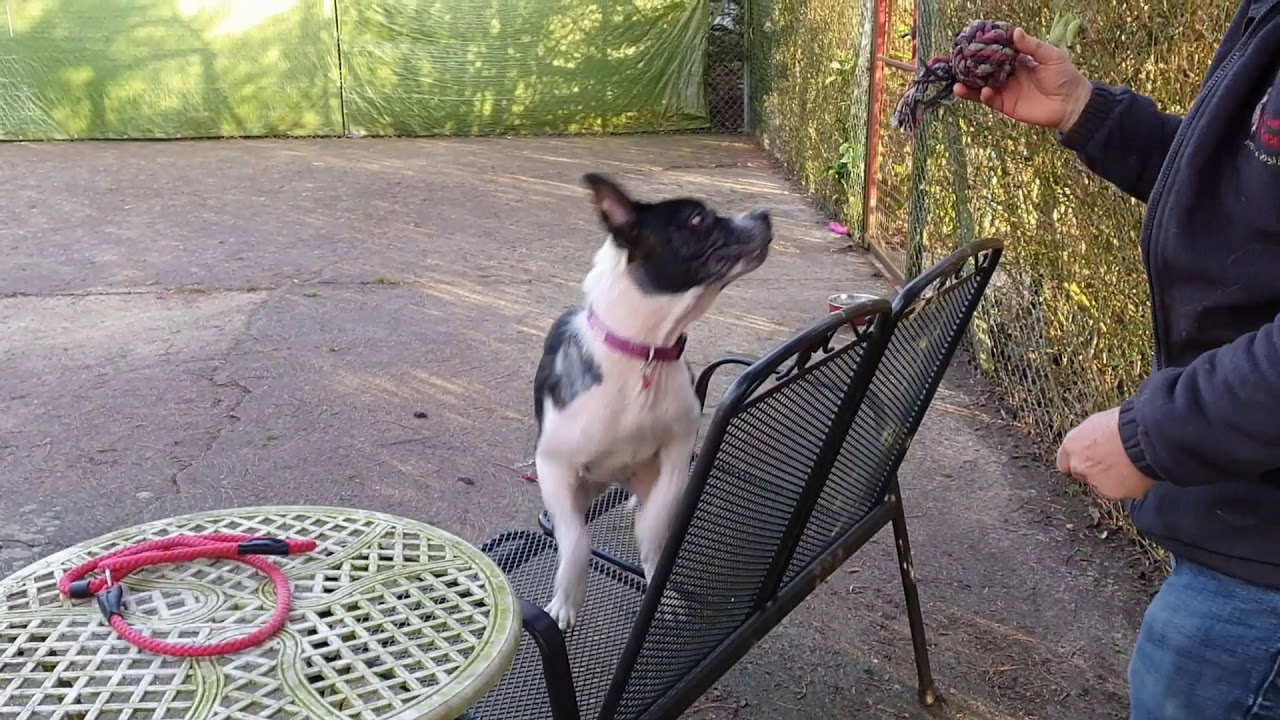 Flossie Youtube