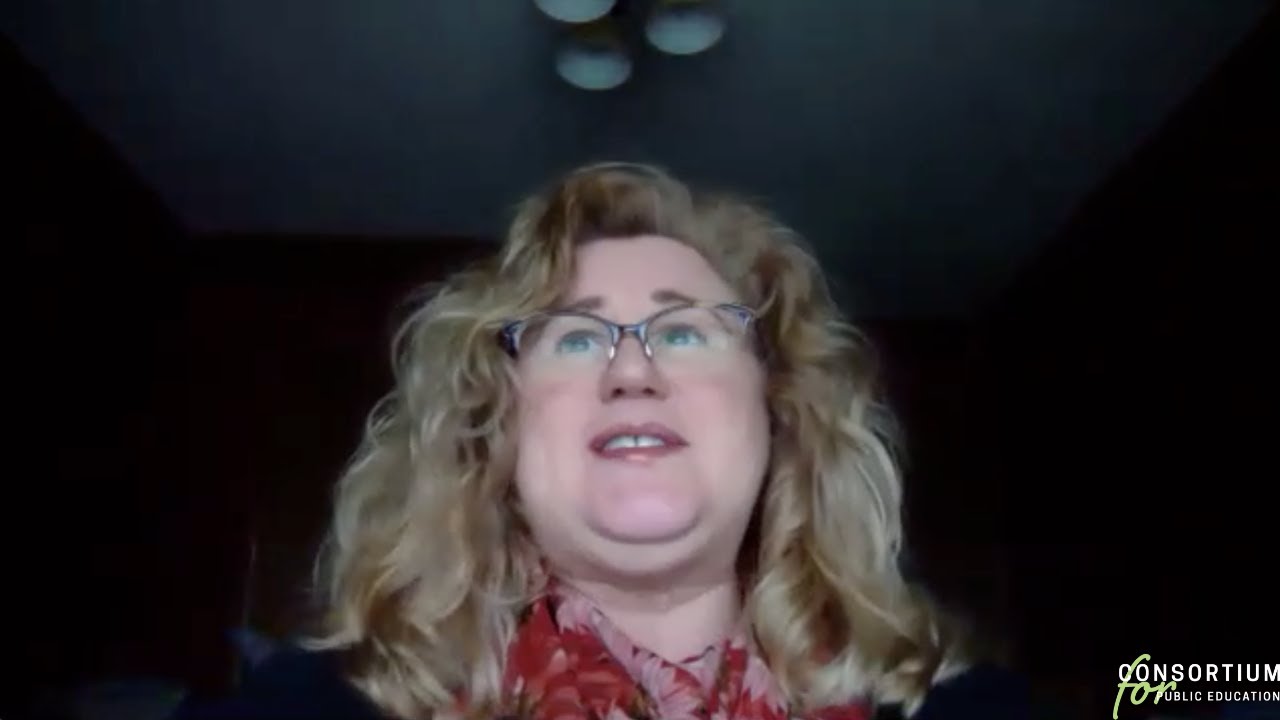 Career Journeys with Debra Roach, PhD in Education & Training - YouTube