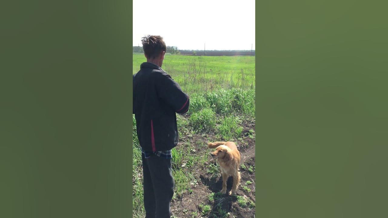 Были хорошие времена. - YouTube