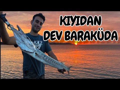 ANTALYA'DA TRAL VE DEV BARAKÜDA AVI! BU AV KAÇMAZ!