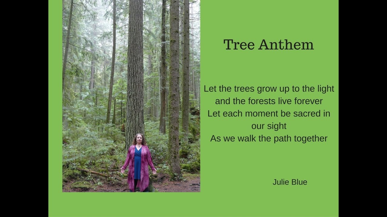 Tree Anthem - YouTube