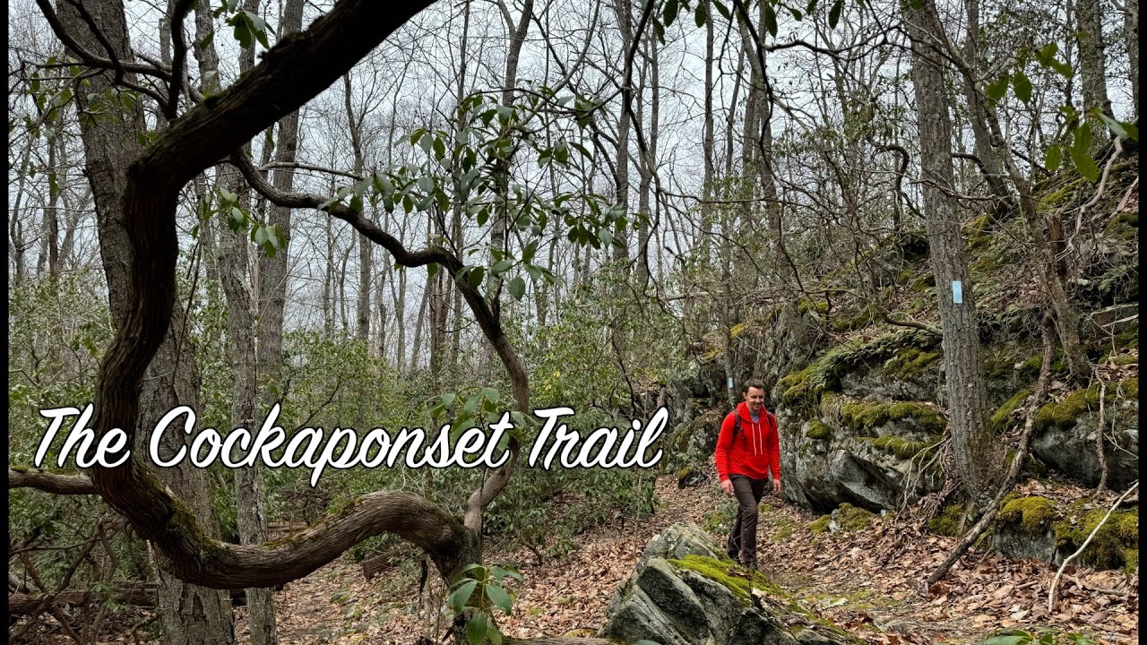 The Cockaponset Trail - YouTube