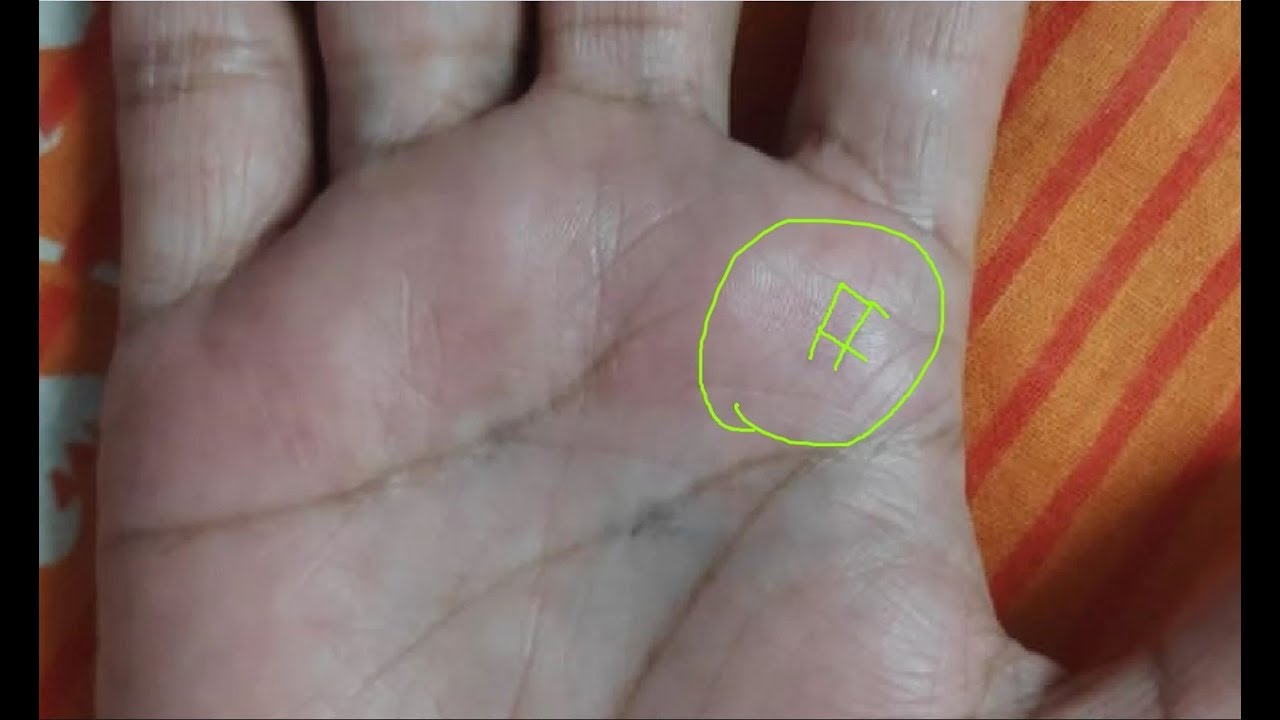 Fish Sign on Jupiter Mount - YouTube