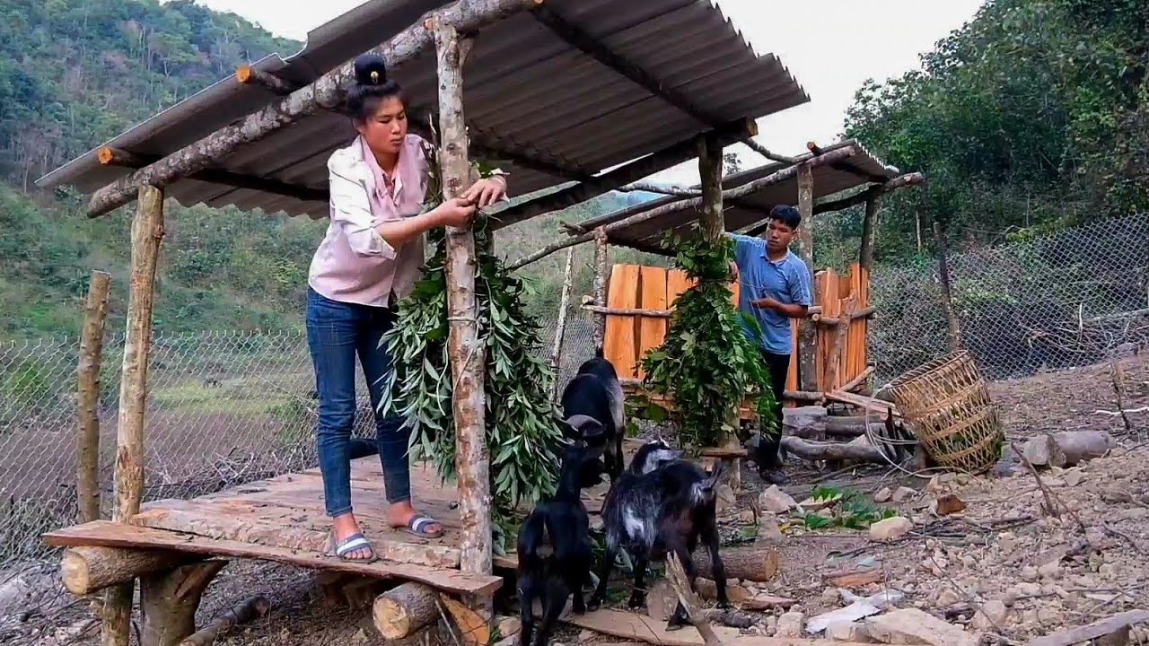 The Process of Digging a Pond And Making Bed Frames, Family Farm - YouTube