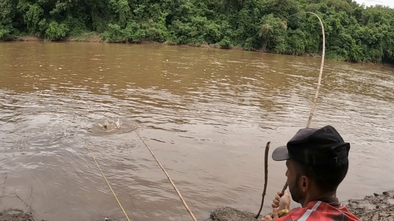 INCRÍVEL ATÉ COM ÁGUA SUJA PEGA PEIXE NESSE LUGAR!!#fish #fishing - YouTube