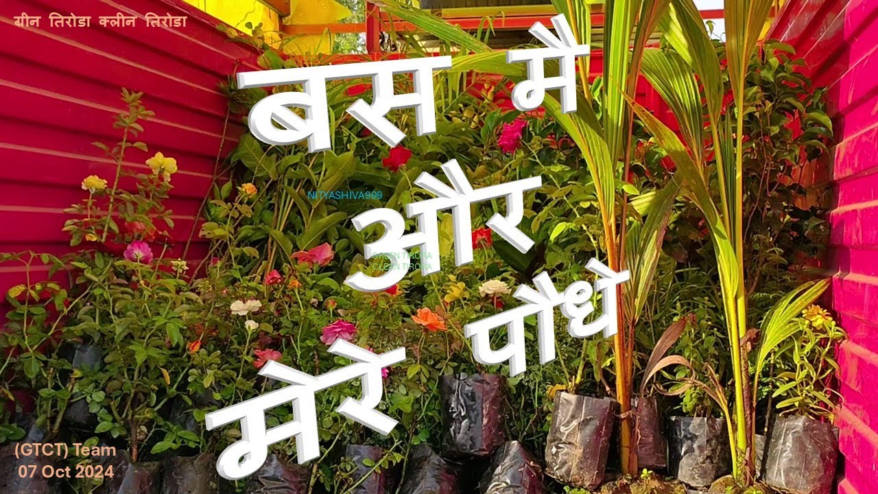 बस मै और मेरे पौधे | GREEN TIRORA CLEAN TIRORA | ग्रीन तिरोडा क्लीन ...