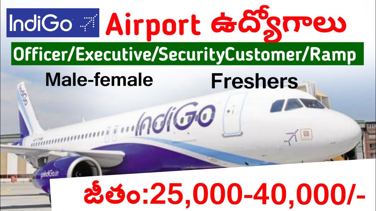 IndiGo Airlines Officer Executive Security Customer Service Job indigo-airlines-officer-executive-security-customer-service-job