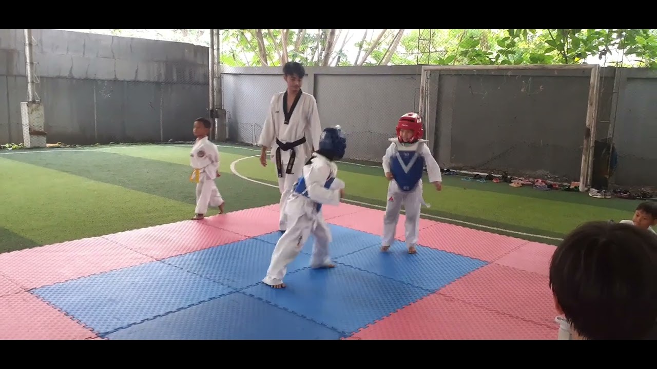 sparing taekwondo... sabuk putih - YouTube