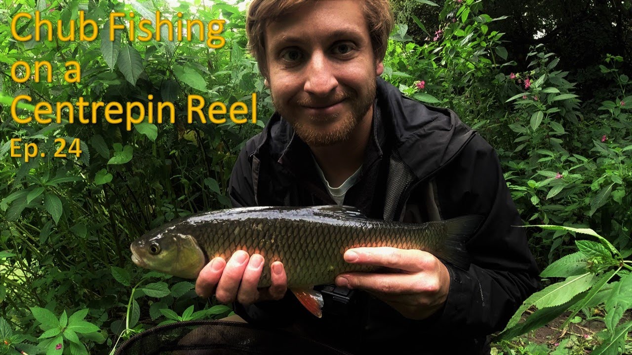 River Foss Fishing - Ep. 24: Chub Fishing on a Centrepin Reel - YouTube