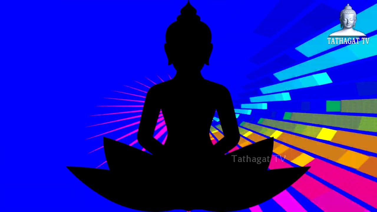 Law of Dependent Origination - Paticca Samuppada - YouTube