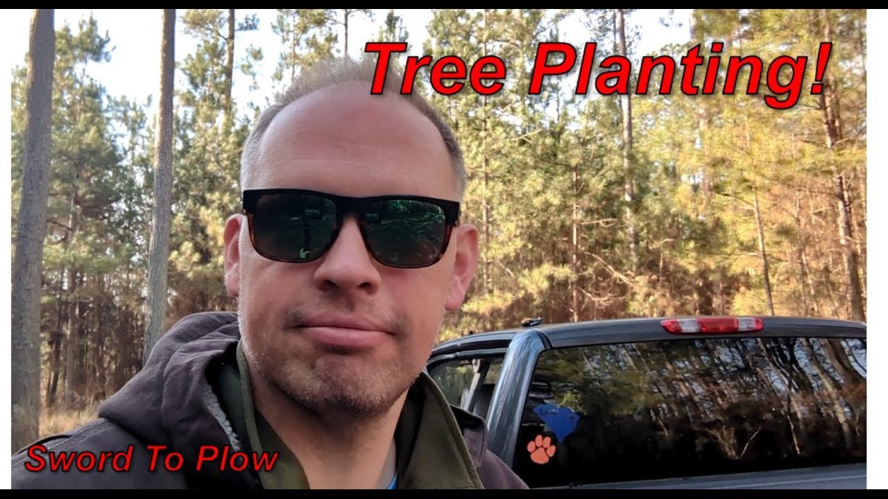 Tree Planting! - YouTube