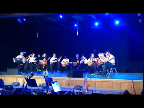 Flaaklypa-medley on classical guitar