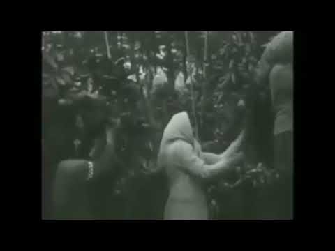 Gülağa Məmmədov - Əmək nəğməsi