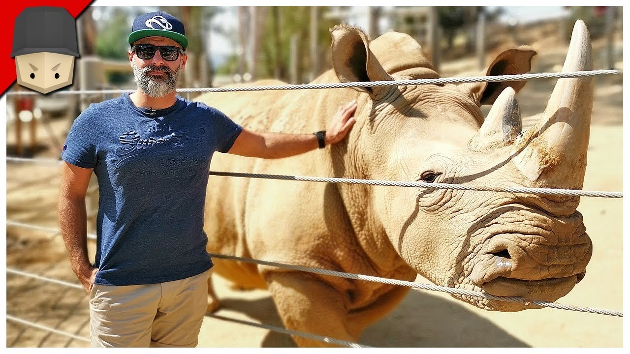 Planet Zoo In Real Life! - YouTube