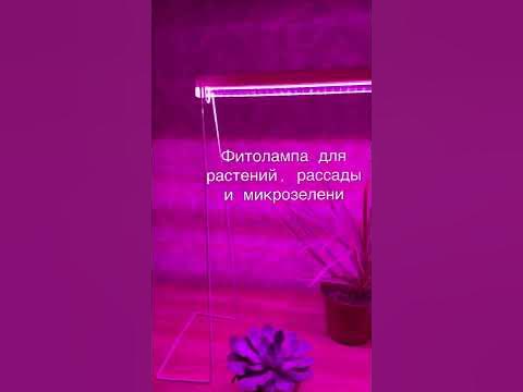 Фитолампа для растений / фитосветильник Wildberries артикул: 65069779 ...